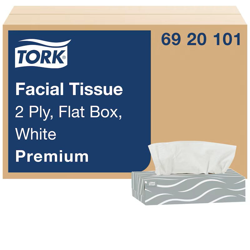 Premium Facial Tissue, Flat Box, 2-Ply, Flat Box, White 100 Sheets - C